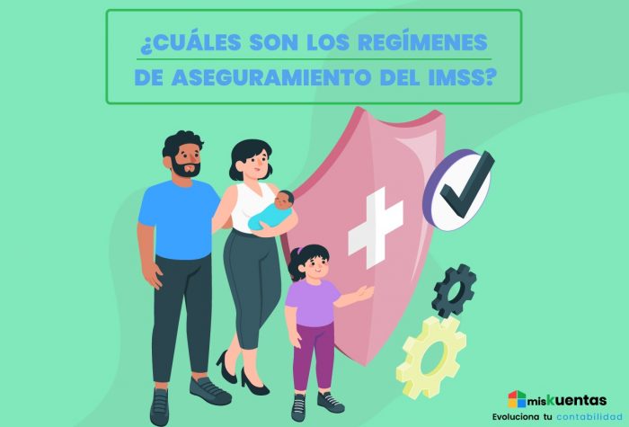 ¿CUÁLES SON LOS REGÍMENES DE ASEGURAMIENTO DEL IMSS? | misKuentas : misKuentas