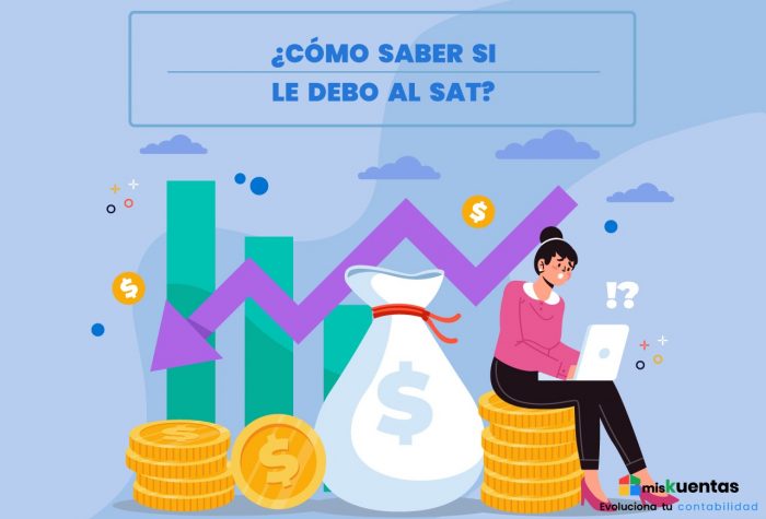 ¿CÓMO SABER SI LE DEBO AL SAT? | misKuentas : misKuentas