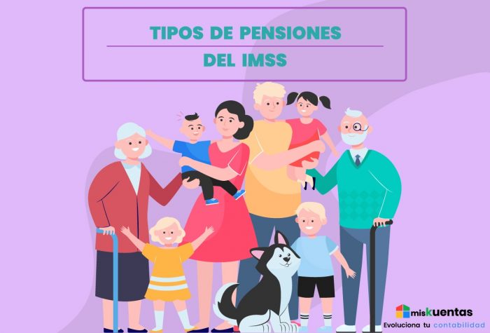 TIPOS DE PENSIONES DEL IMSS | misKuentas : misKuentas TIPOS DE PENSIONES DEL IMSS | misKuentas : misKuentas